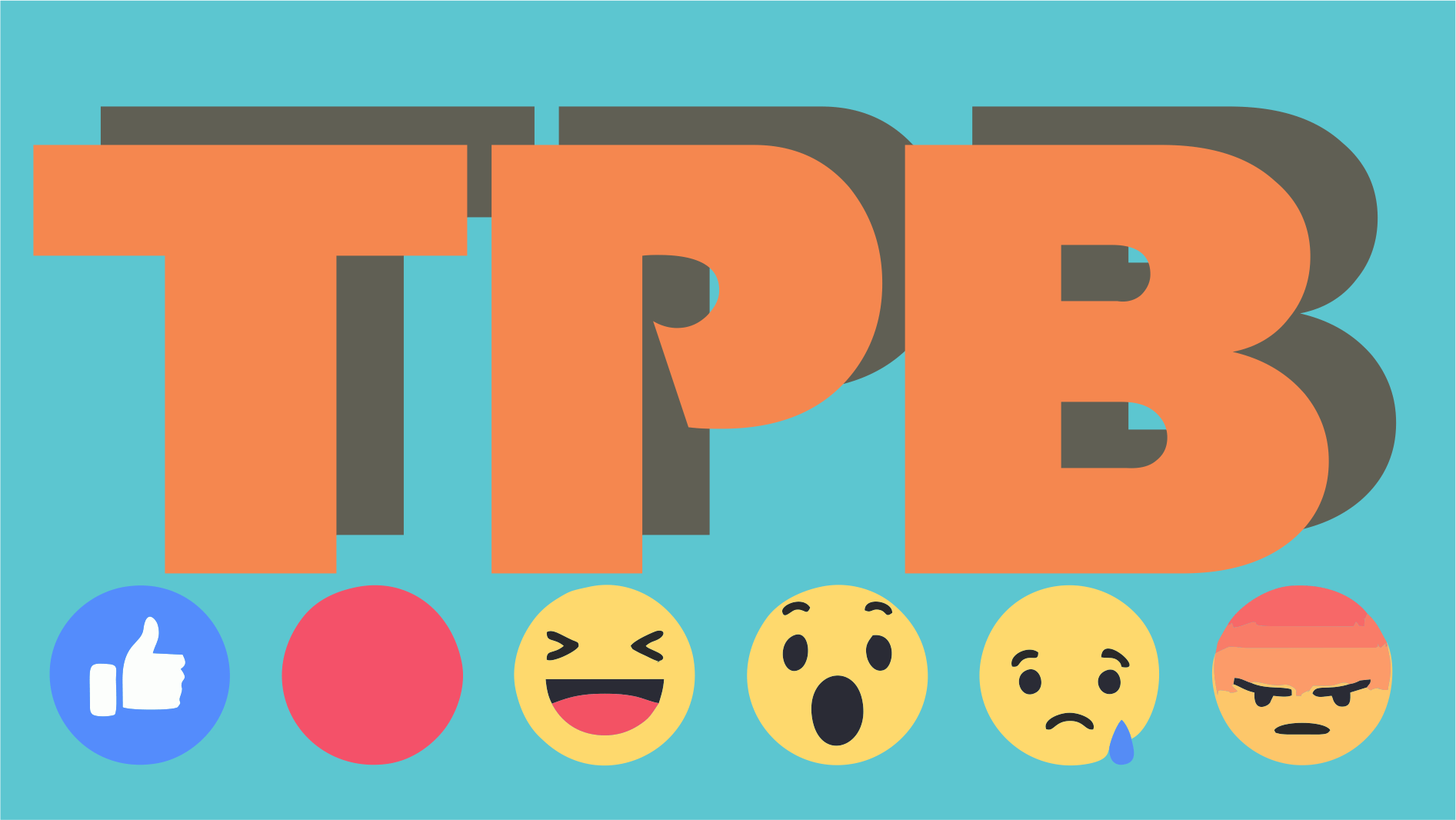 Lí thuyết hành vi hoạch định (Theory of Planned Behavior - TPB) - Phân tích xử lý dữ liệu